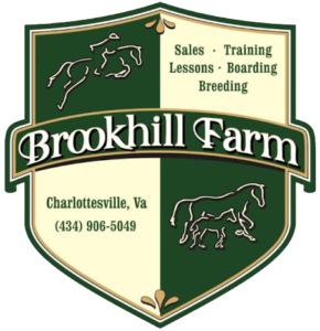 Brookhill Farm - Best Horse Riding Service Center