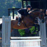 Our Team - Brookhill Farm